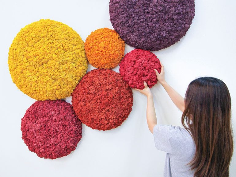 7 Funky Furnishings - Interior Design