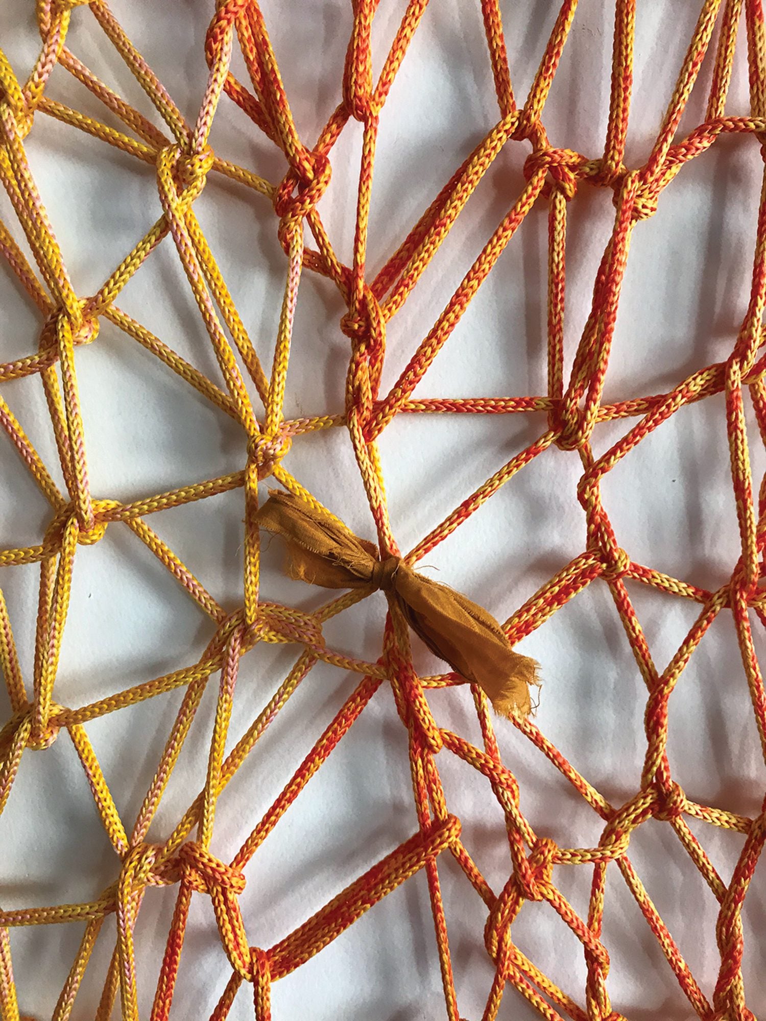 Ernesto Neto's Houston Installation Winds Visitors Through Nature ...