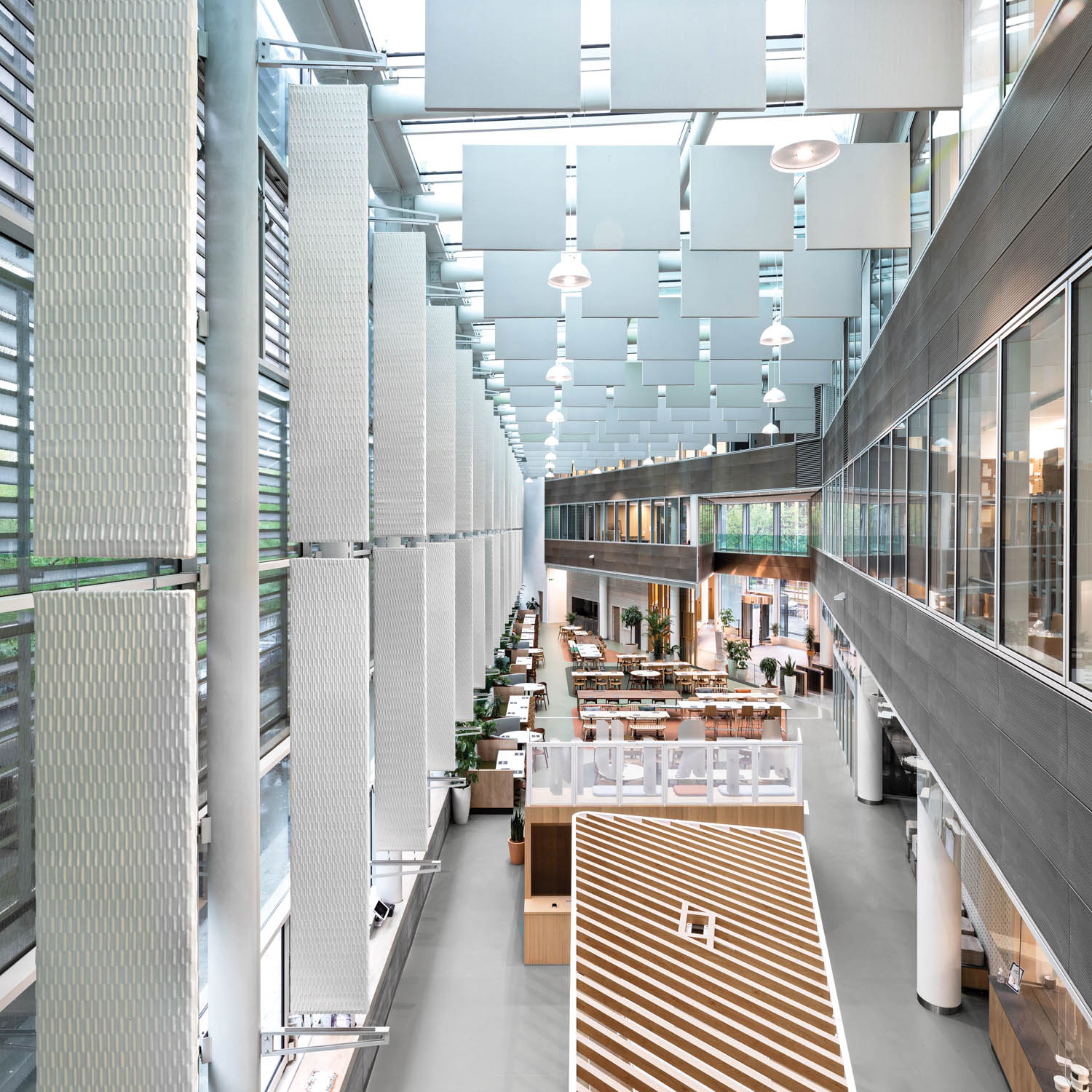 Saguez & Partners Turn to Biophilic Design to Create a Welcoming Office ...