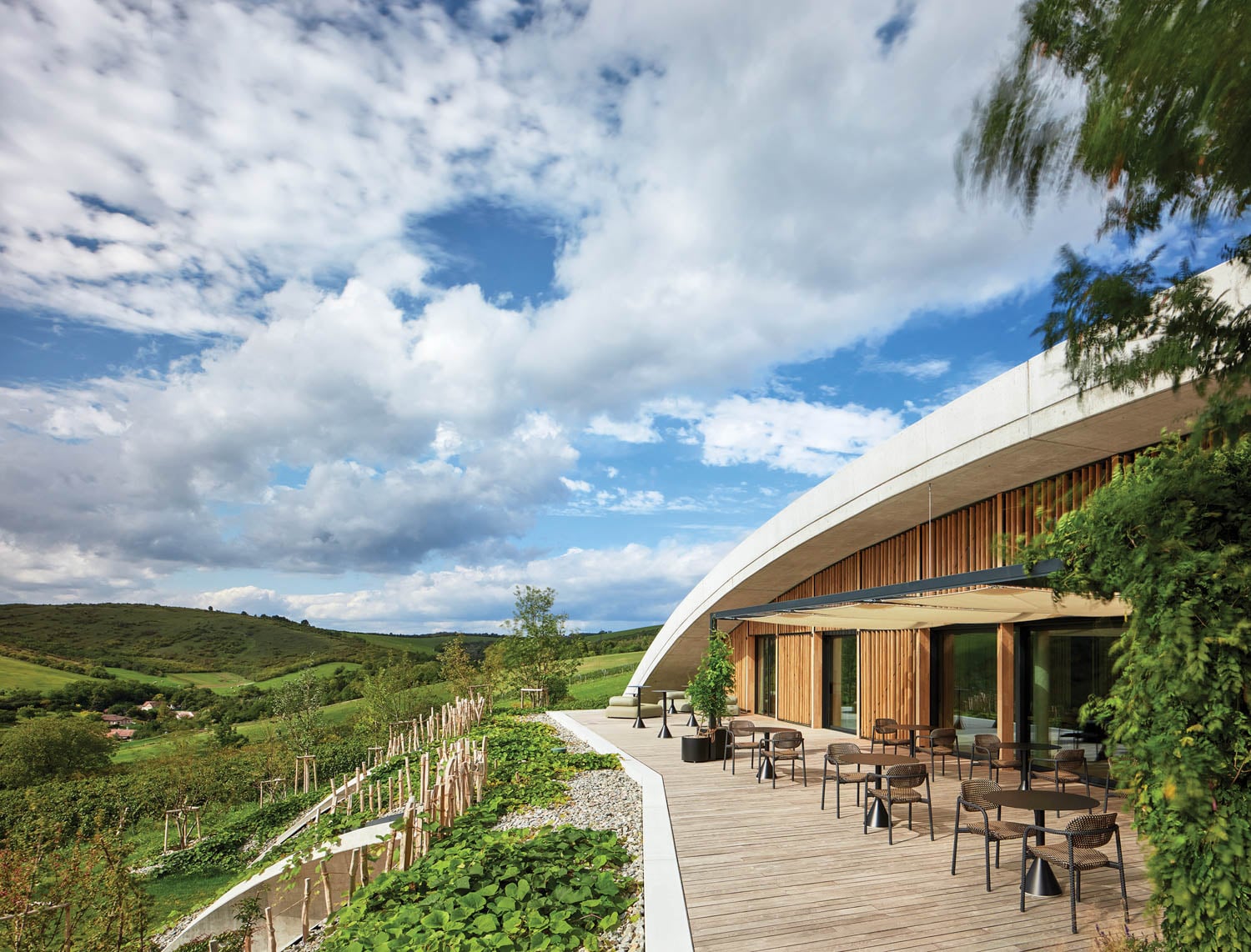 The Architecture of a Winery in Czechia Fosters Its Growth