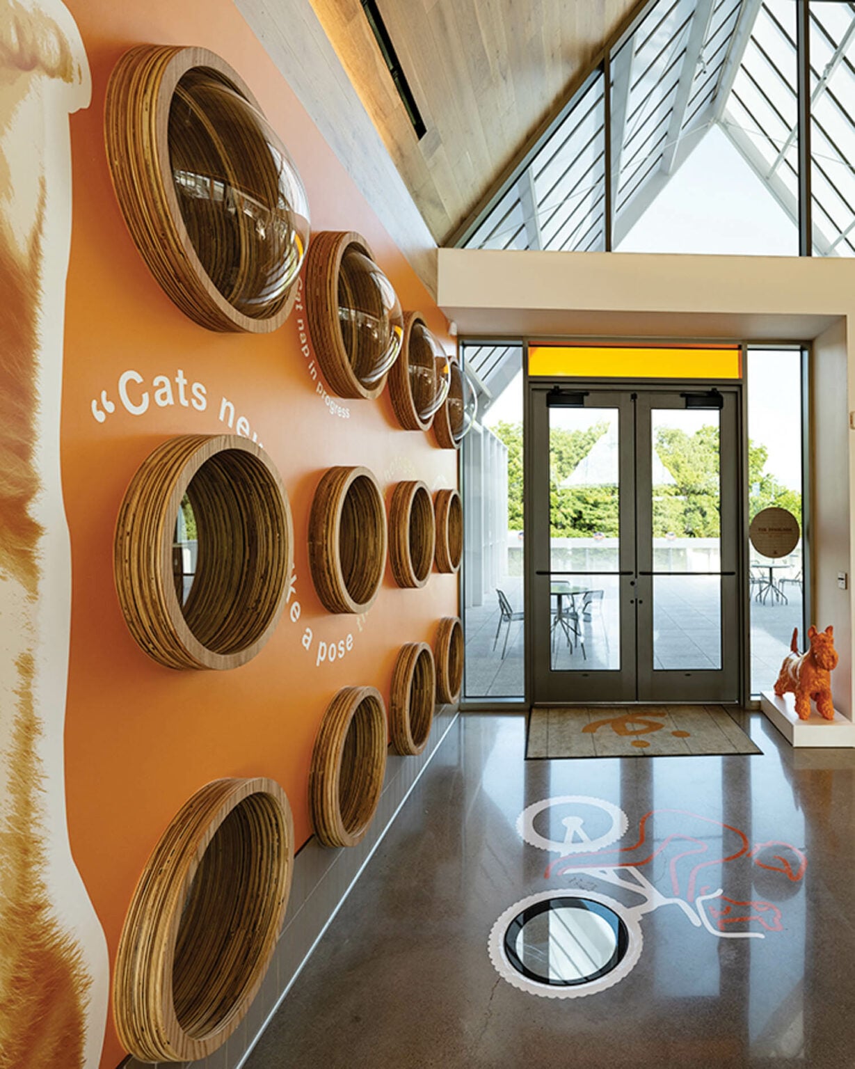 This Animal Shelter Raises the Bar for Design