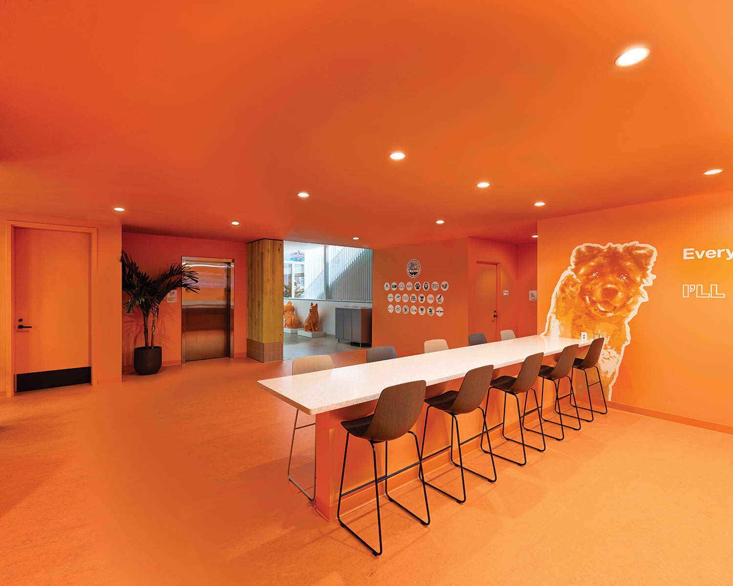 This Animal Shelter Raises the Bar for Design