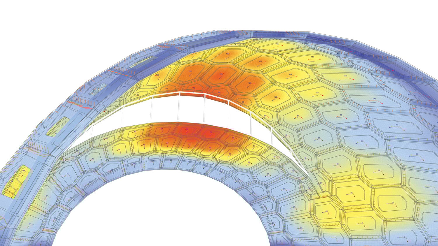 A Sea Creature Informs the Design of This Biomimetic Pavilion