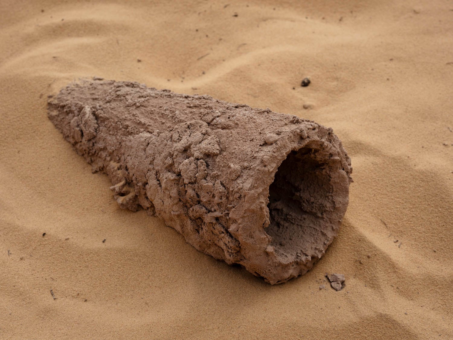 Desert X AlUla 2026 Immerses Us In The Saudi Landscape