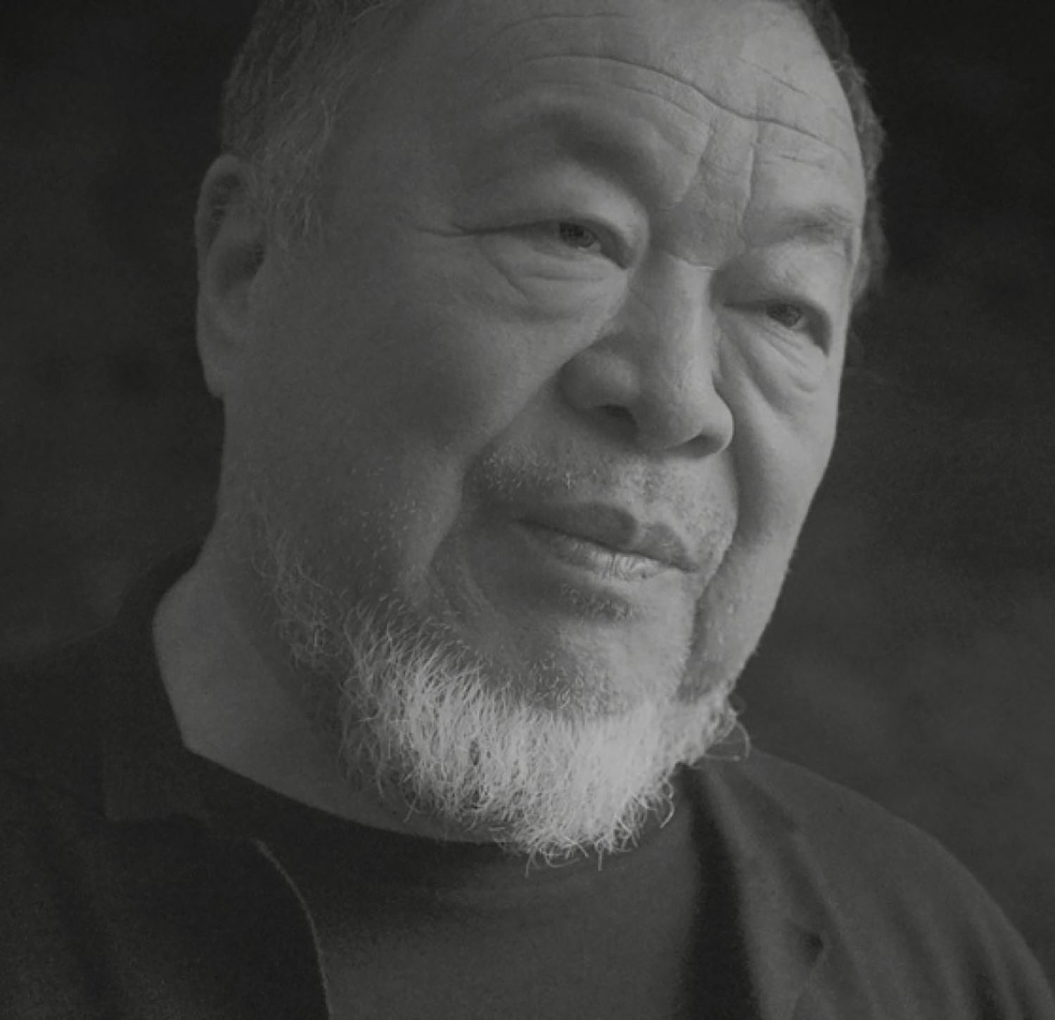 Ai Weiwei And Rubelli Weave Symbols Of Protest Into Silk